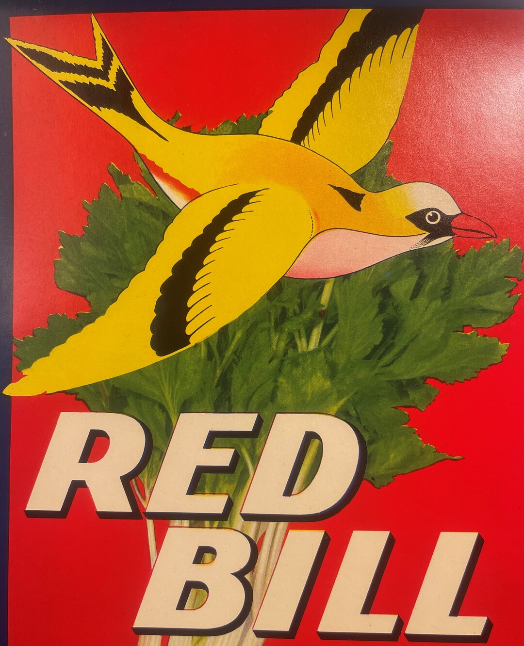 Antique Vintage Red Bill Crate Label, Detroit, MI 1940s Beautiful Bird ...