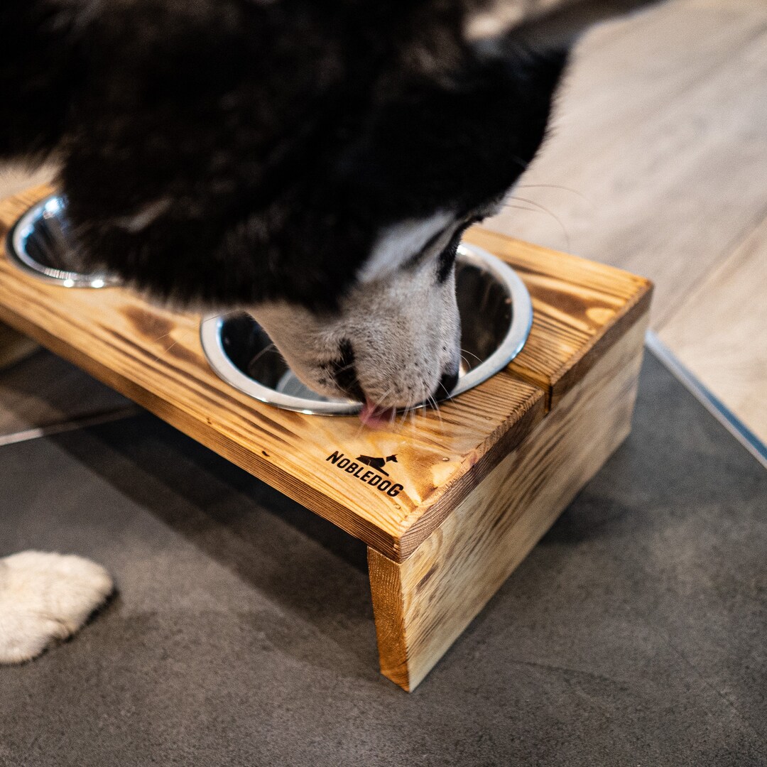 Wooden Stand for Dogs Eco L Nobledog - Etsy