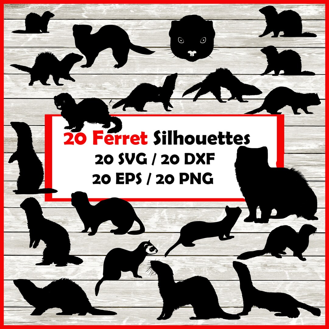 Ferret Silhouette Pack - 20 Designs | Digital Download | 20 Png , SVG ...