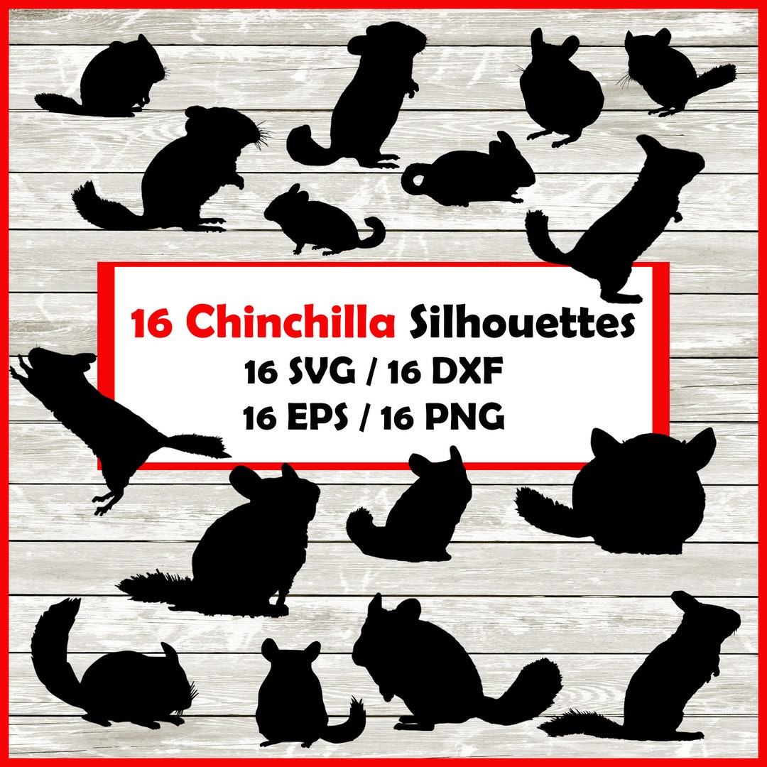 Chinchilla Silhouette Pack - 16 Designs | Digital Download | 16 Png ...