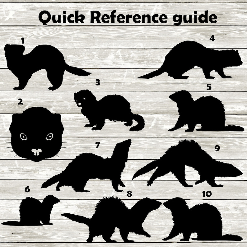 Ferret Silhouette Pack - 20 Designs | Digital Download | 20 Png , SVG ...