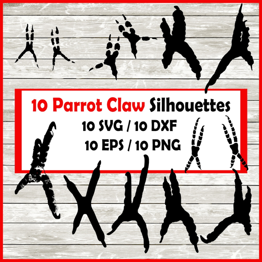 Parrot Claw Silhouette Pack - 10 Designs | Digital Download | Parrot ...