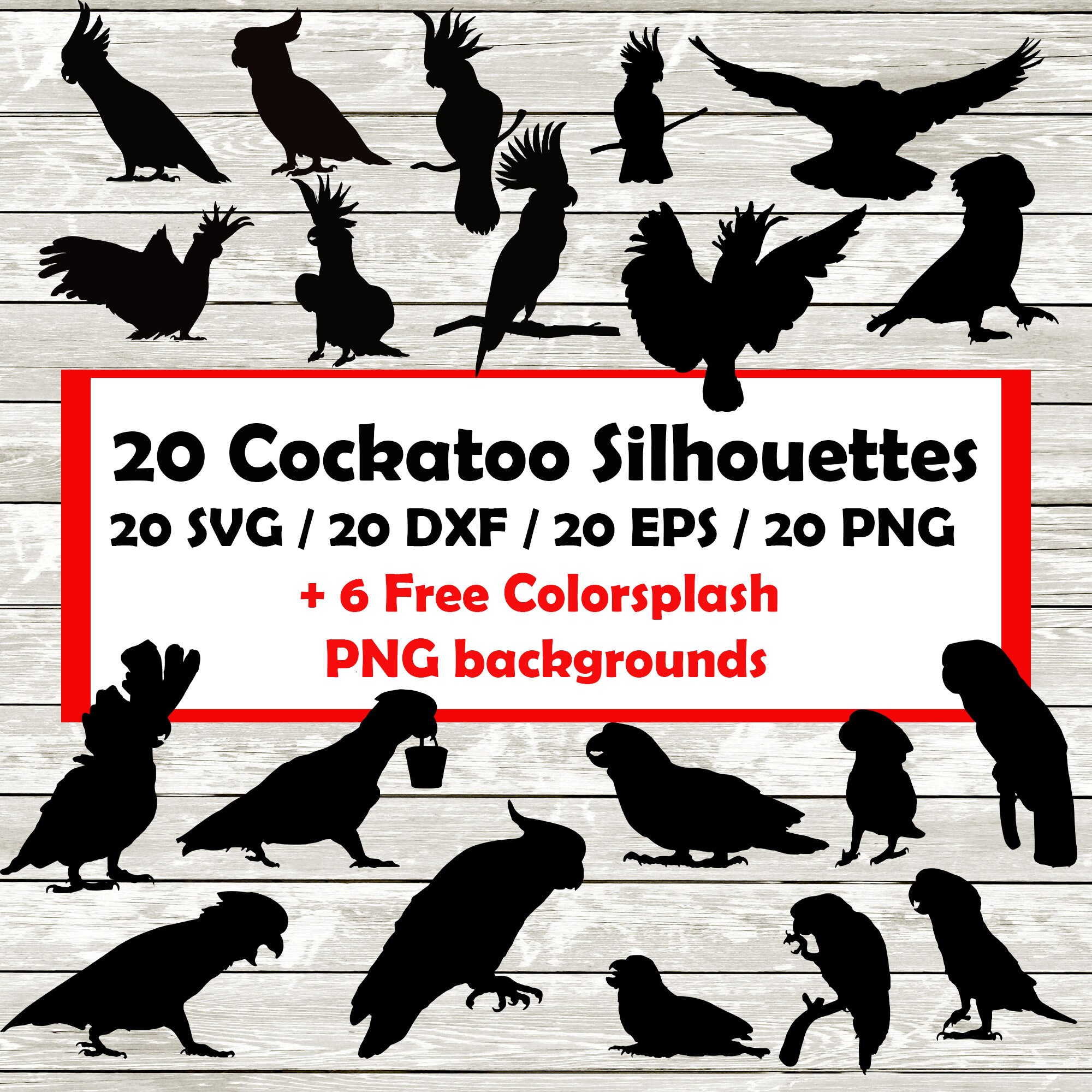 Cockatoo Parrot Silhouette Pack 20 Designs Digital Download Parrot SVG ...