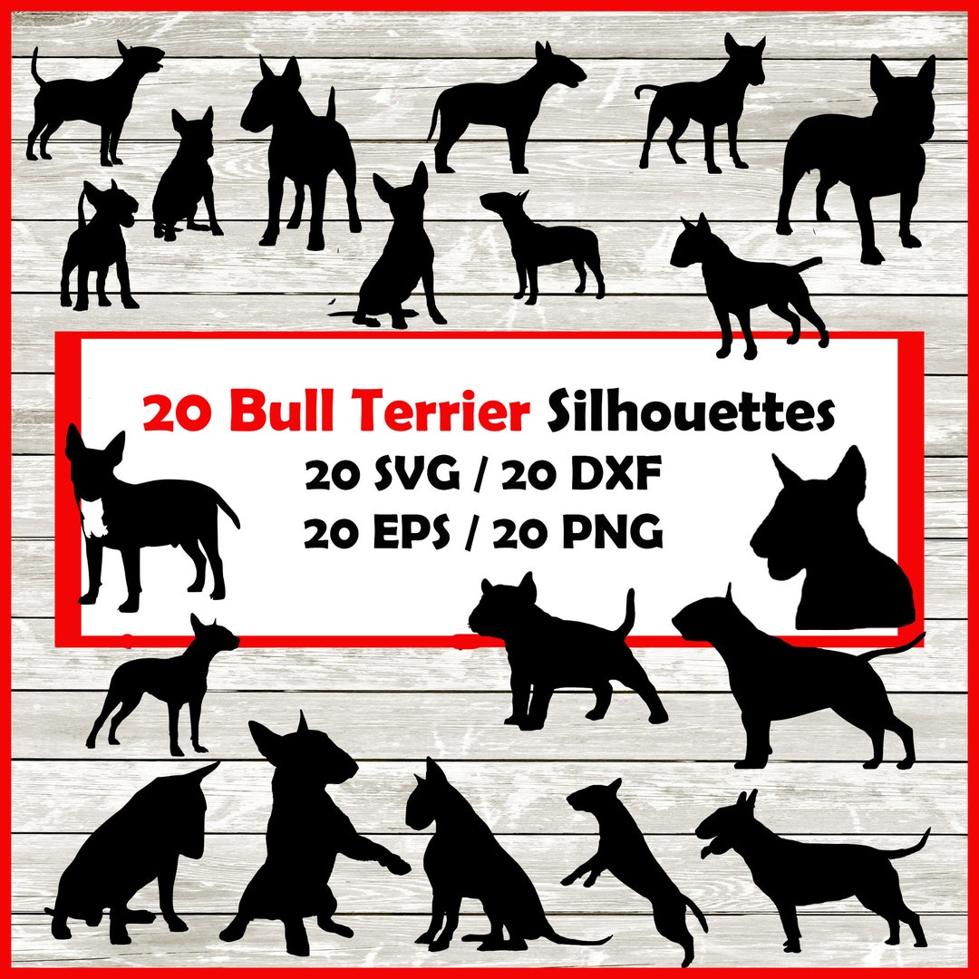 Bull Terrier Dog Silhouette Pack - 20 Designs | Digital Download SVG ...