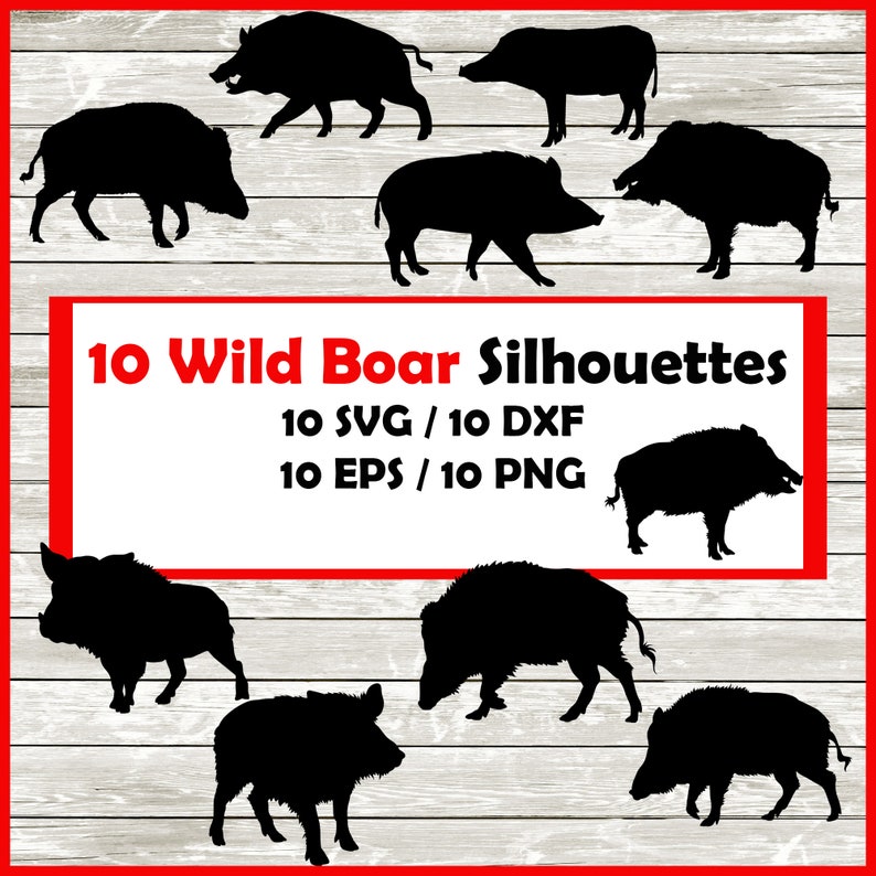 Wild Boar Silhouette Pack - 10 Designs | Digital Download | 10 Png ...
