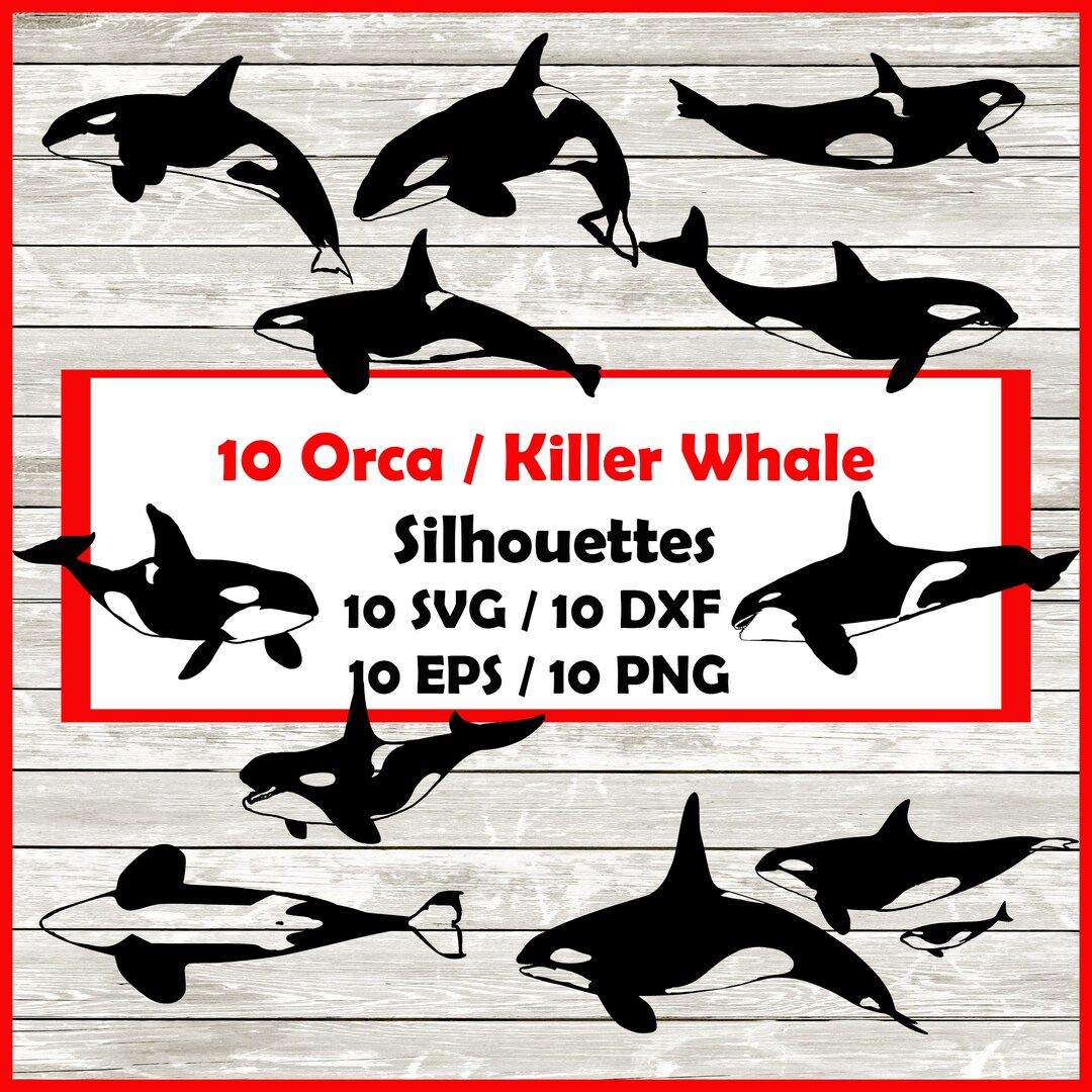 Orca Whale Silhouette Pack 10 Designs Digital Download 10 Png , SVG ...
