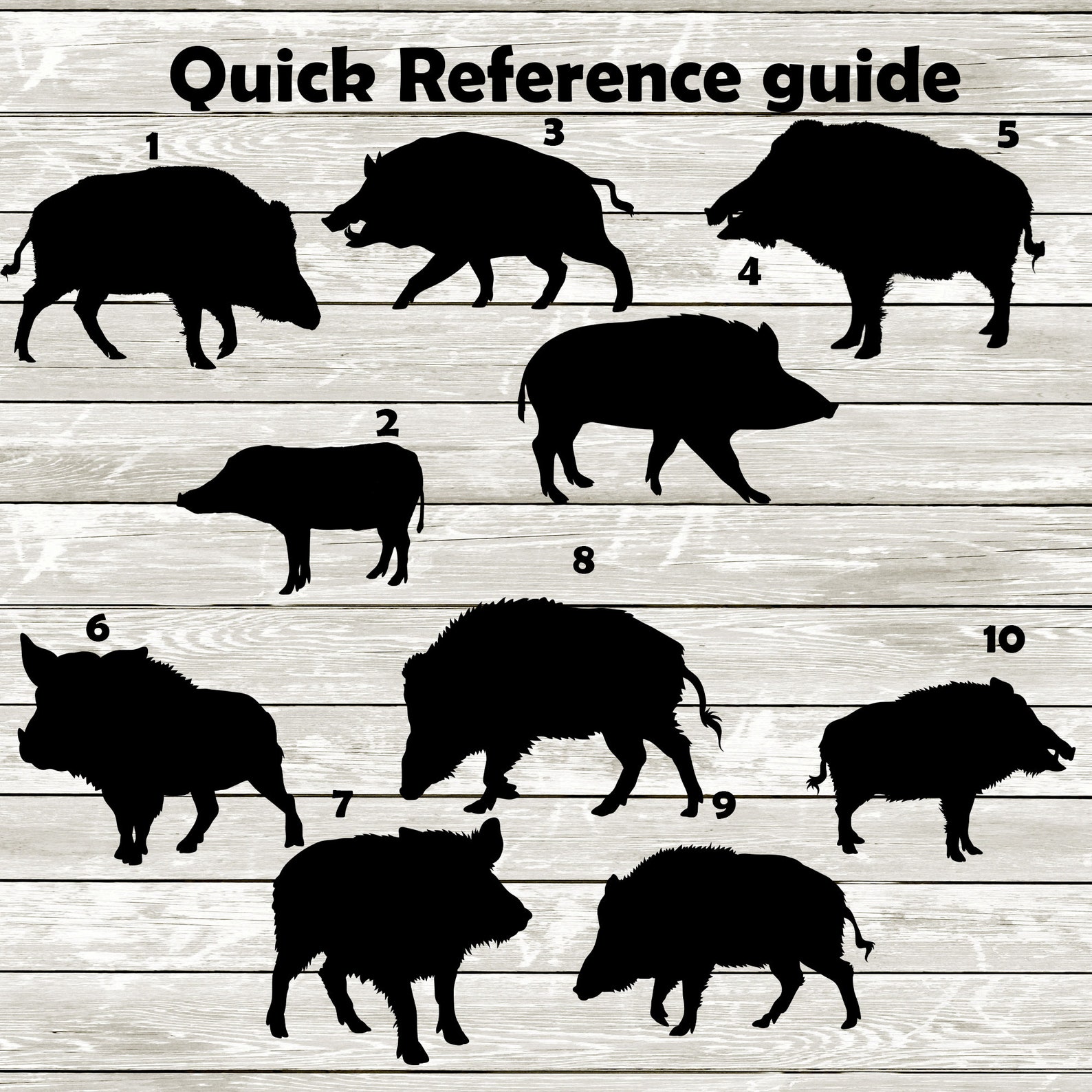 Wild Boar Silhouette Pack 10 Designs Digital Download 10 Png , SVG ...