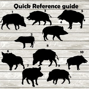 Wild Boar Silhouette Pack - 10 Designs | Digital Download | 10 Png ...