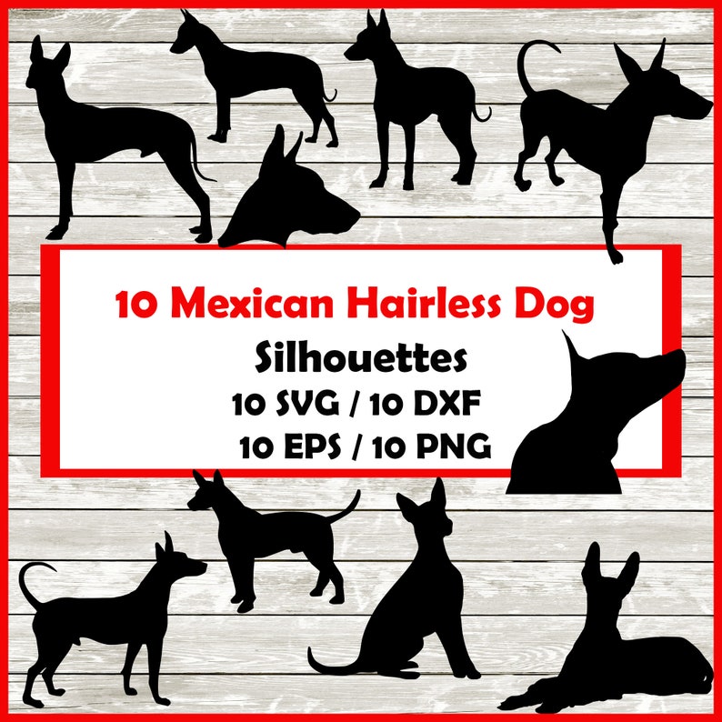 Mexican Hairless Dog Silhouette Pack - 10 Designs | Digital Download |10 Png , SVG , DXF , EPS ...