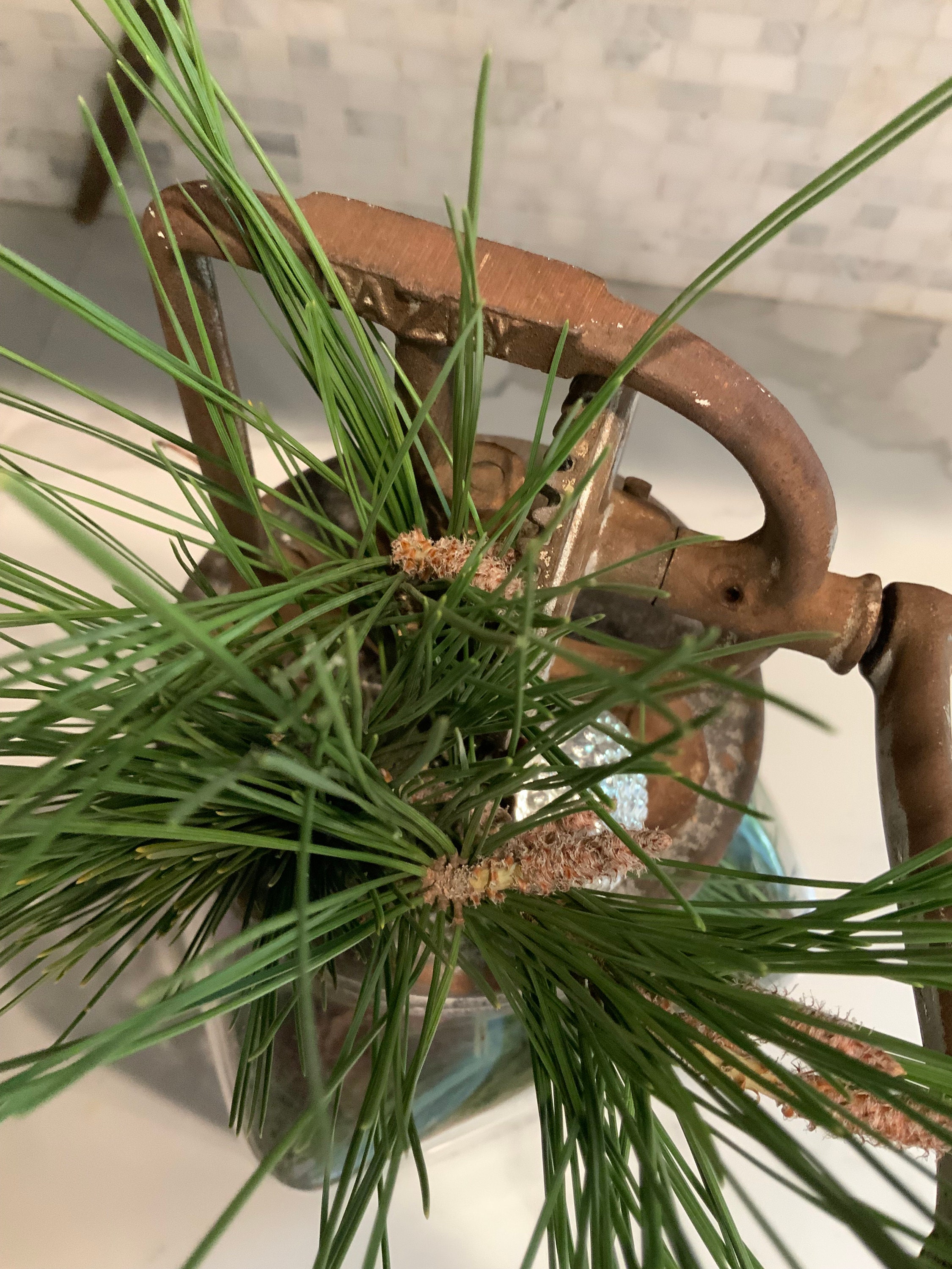 Daisy Butter Churn - Etsy