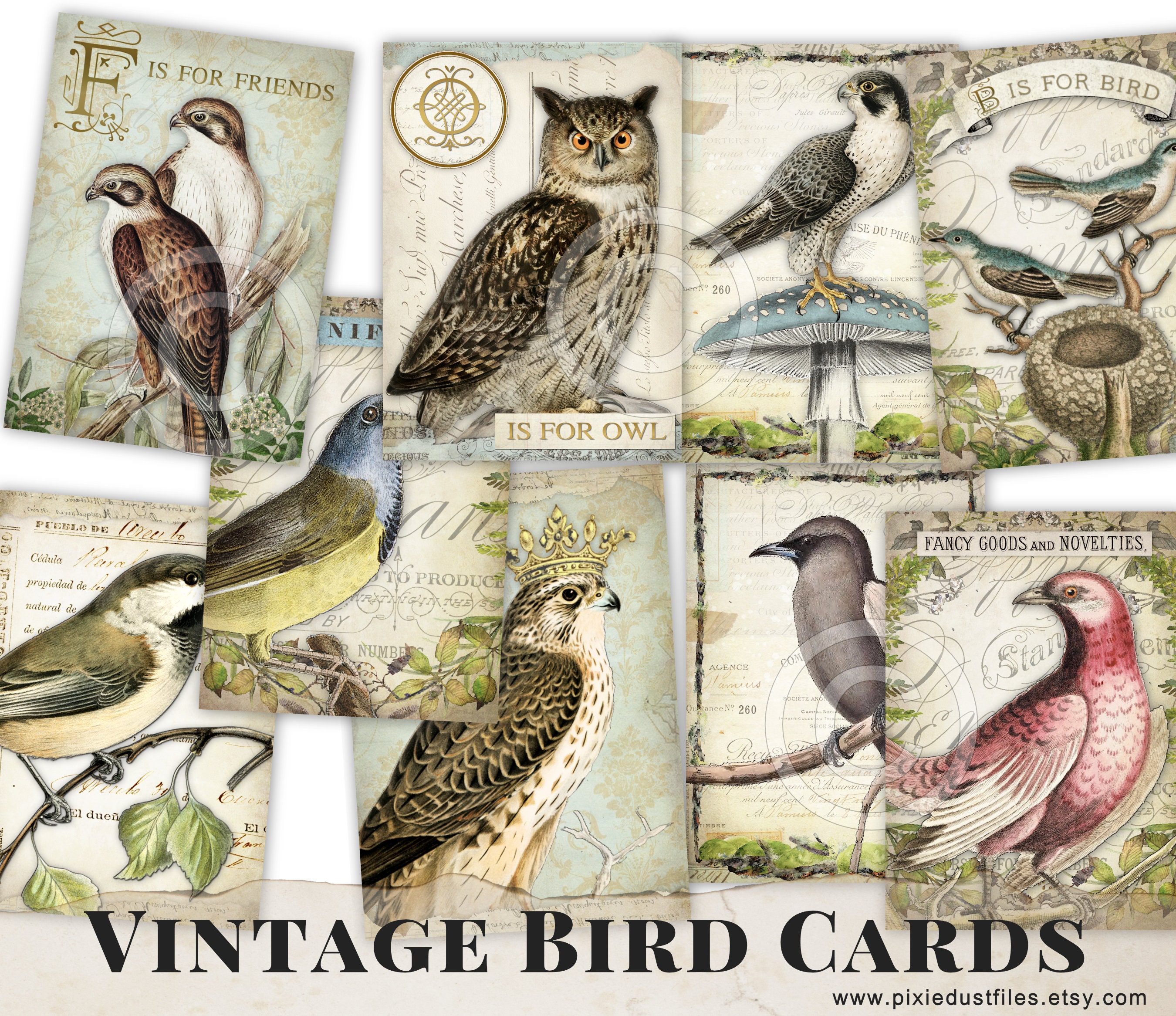 Vintage Birds Ephemera Cards Printable Junk Journal Ephemera - Etsy