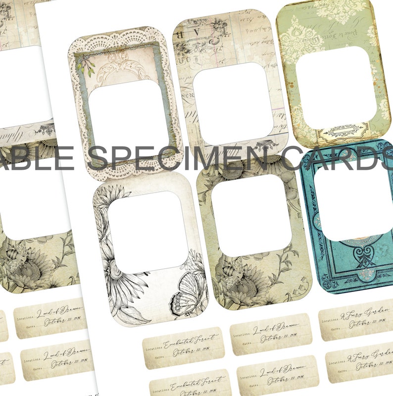 Printable Specimen Cards Slides Junk Journal Ephemera - Etsy