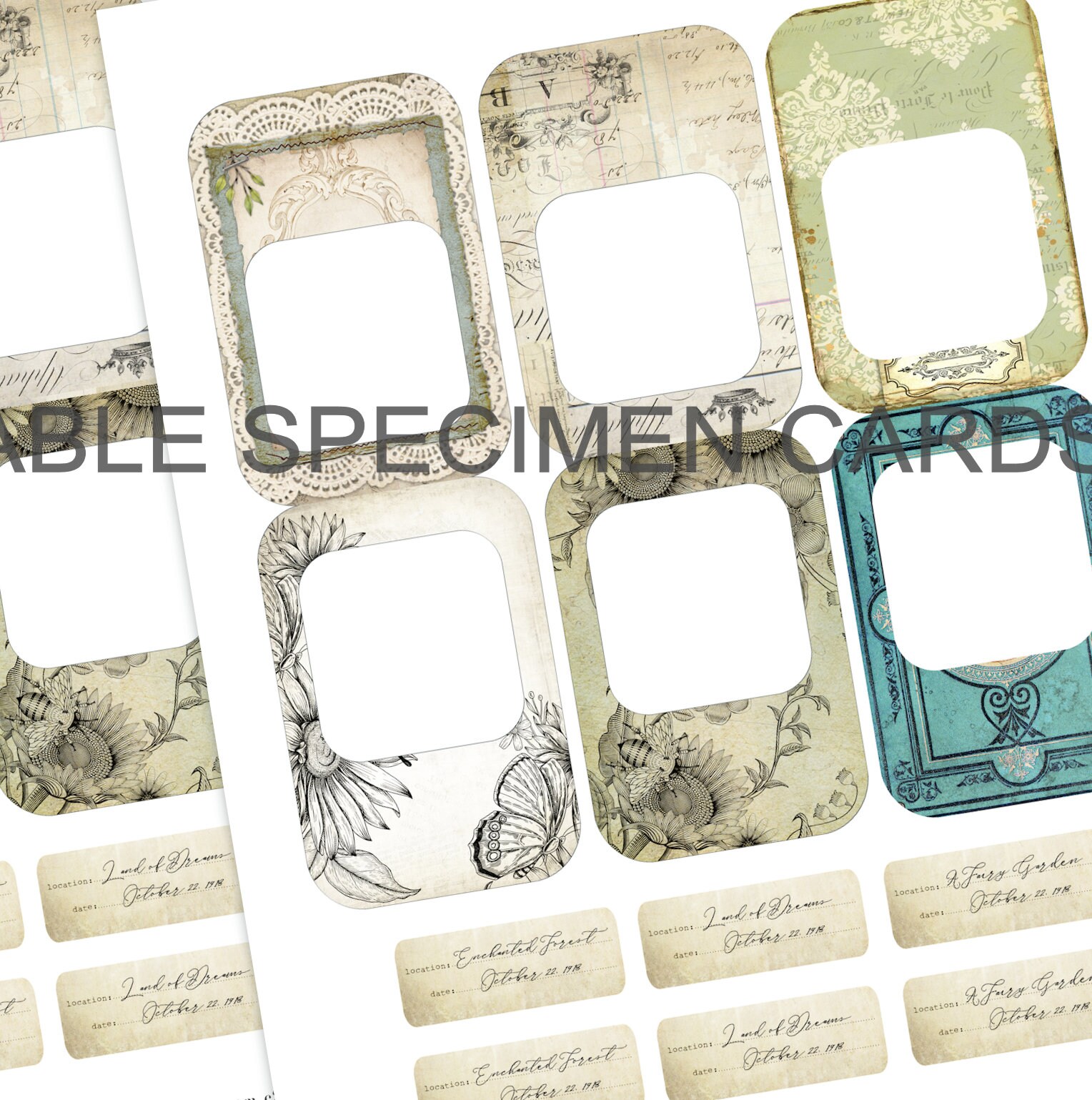 Floral Specimen Cards, Printable Slides, Junk Journal Digi Kit, Dried ...