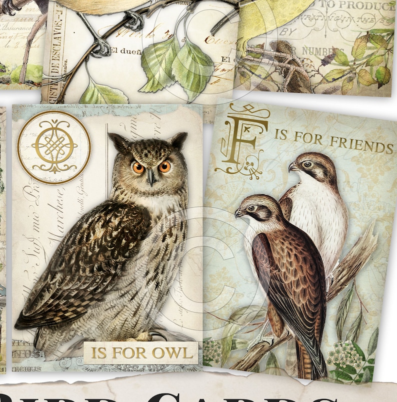 Vintage Birds Ephemera Cards, Printable Junk Journal Ephemera Pack ...