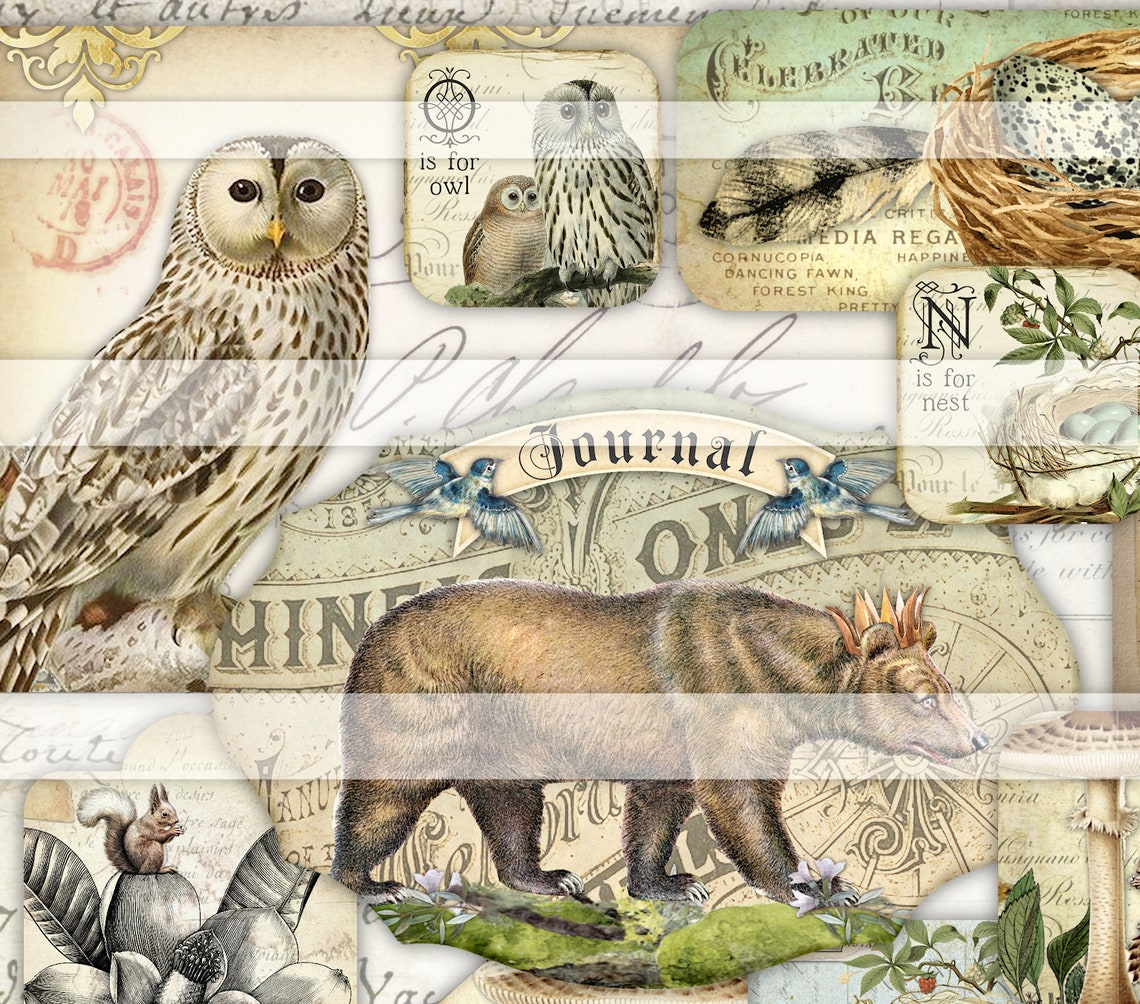 Printable Forest Junk Journal Kit Digital Papers Woodland - Etsy