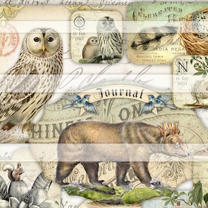 Printable Forest Junk Journal Kit Digital Papers Woodland Animals ...