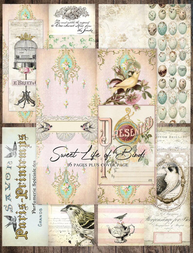 Birds Junk Journal Printable Kit Tall & Skinny Vintage Bird - Etsy