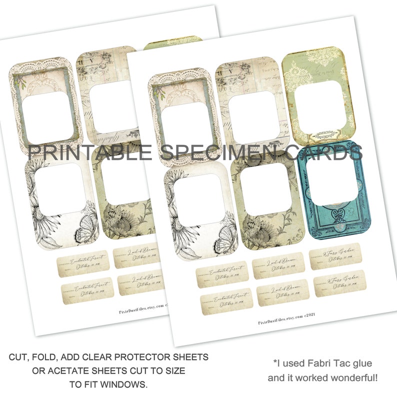 Printable Specimen Cards Slides Junk Journal Ephemera - Etsy
