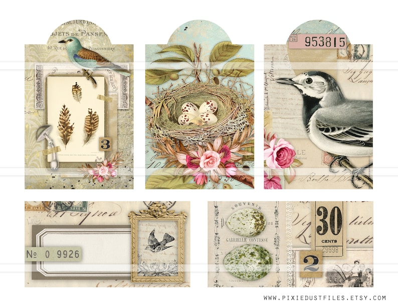 Bird Junk Journal Printable Kit Vintage Bird Nest Images - Etsy