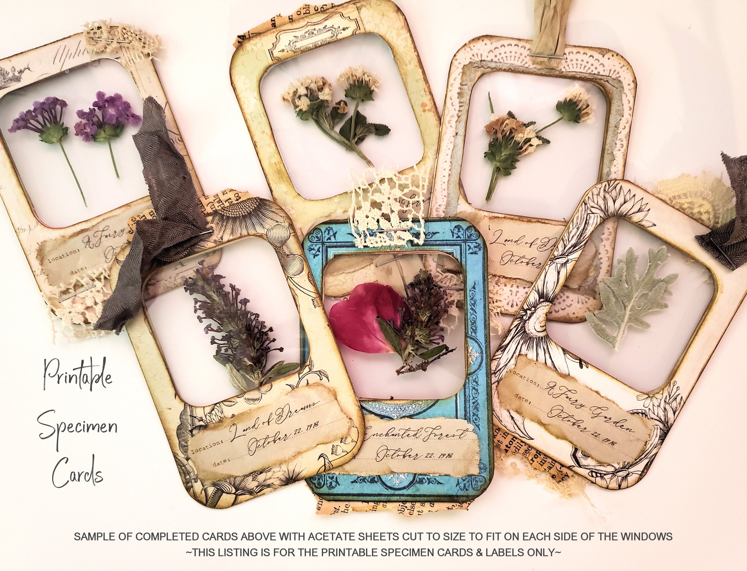 Floral Specimen Cards Printable Slides Junk Journal Digi - Etsy