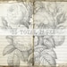 Printable Lined and Blank Journal Pages, Lined Paper Bundle, Writing ...