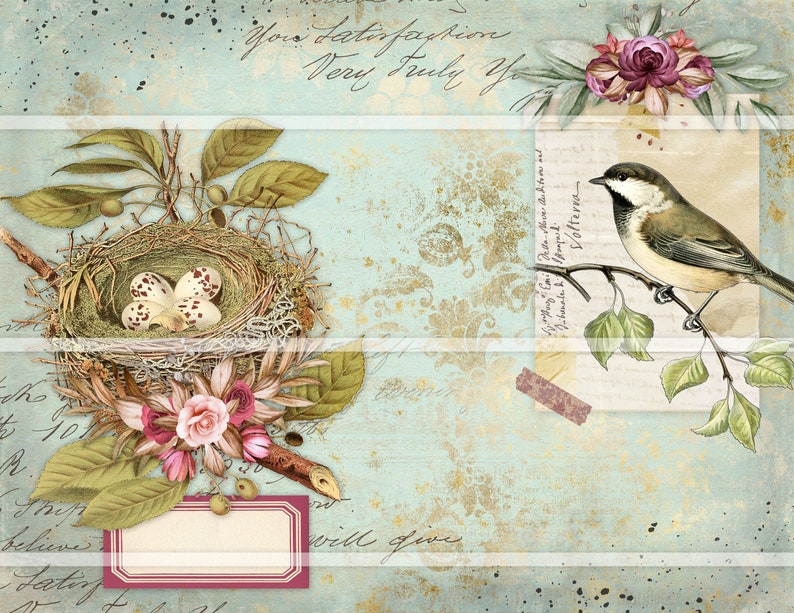 Vintage Birds Junk Journal Pages Printable Papers Journal - Etsy