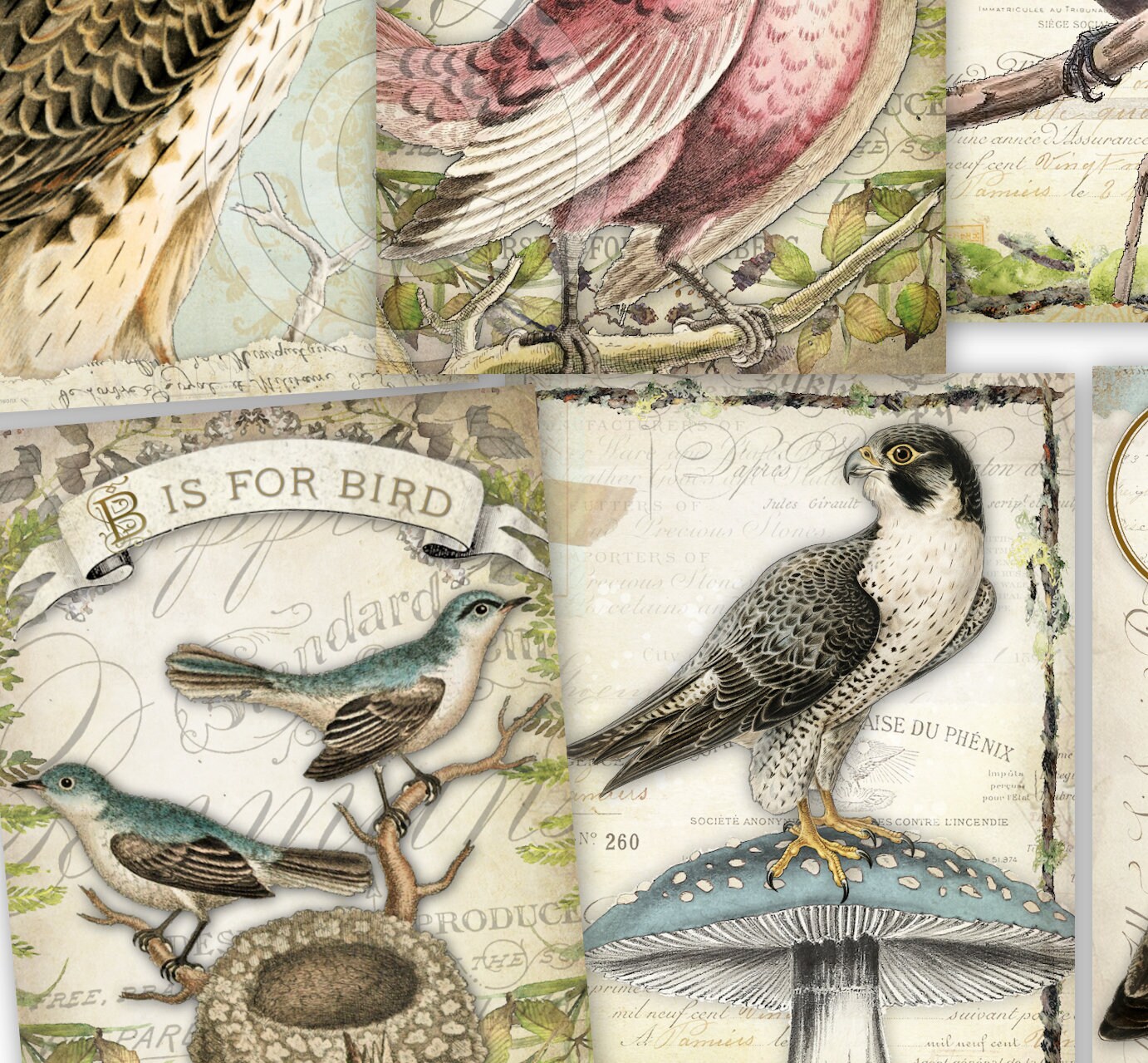 Vintage Birds Ephemera Cards, Printable Junk Journal Ephemera Pack ...