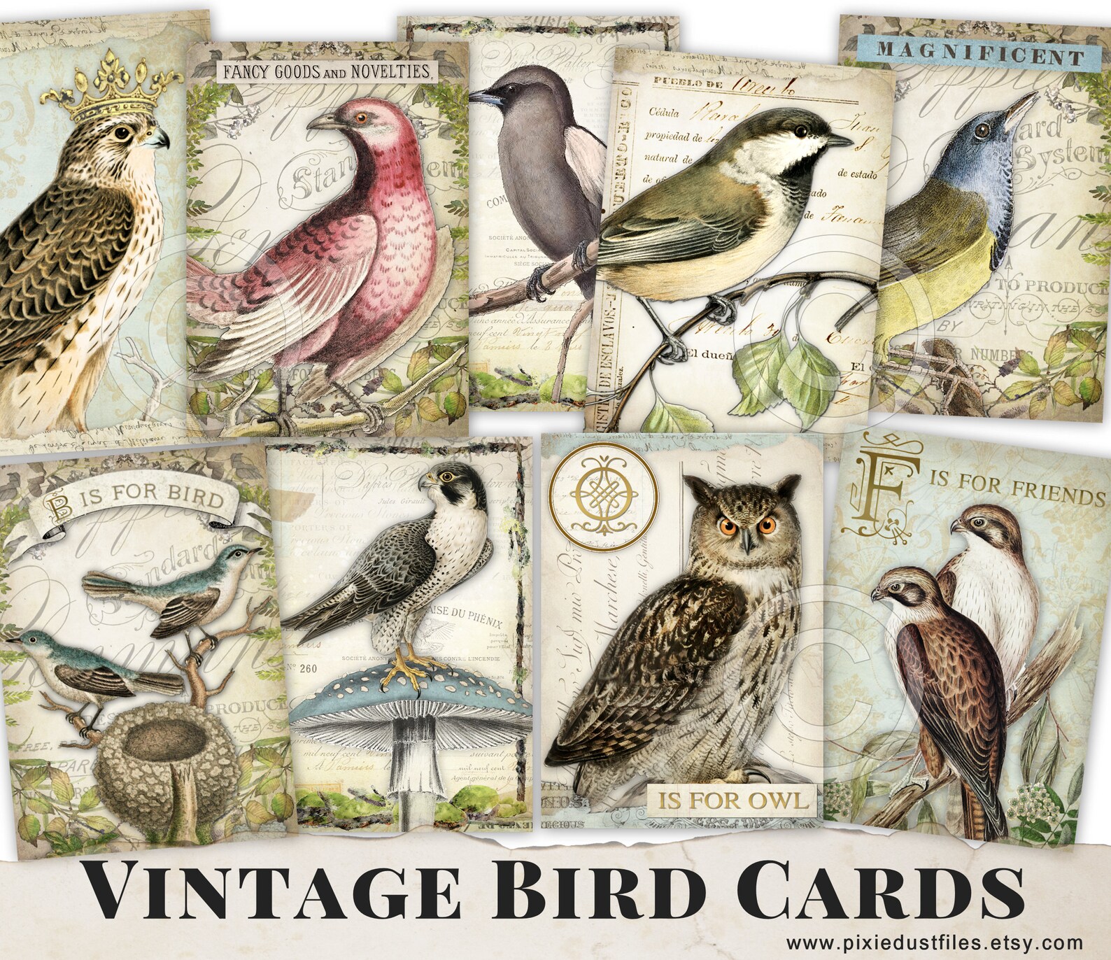Vintage Birds Ephemera Cards, Printable Junk Journal Ephemera Pack ...