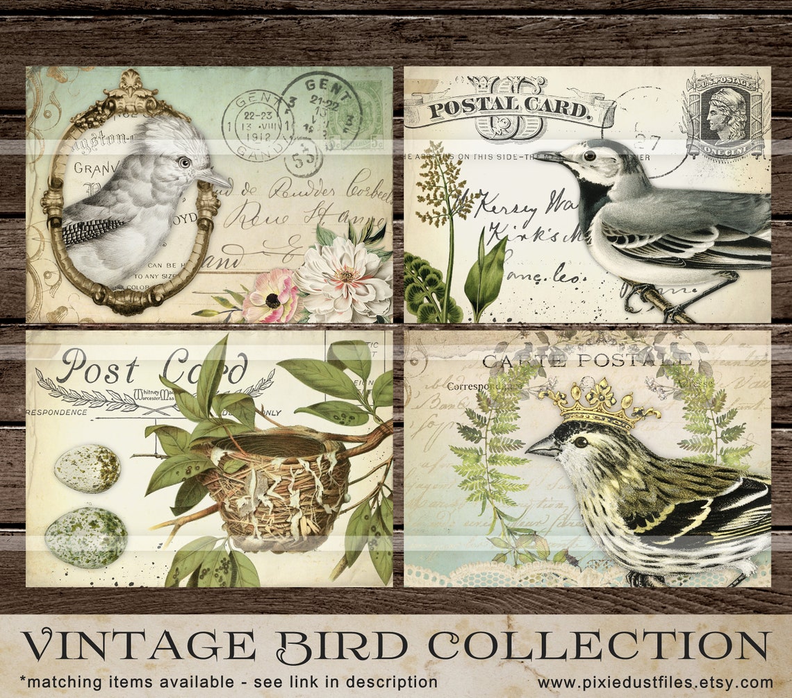 Birds Junk Journal Printable Kit Vintage Bird Images - Etsy