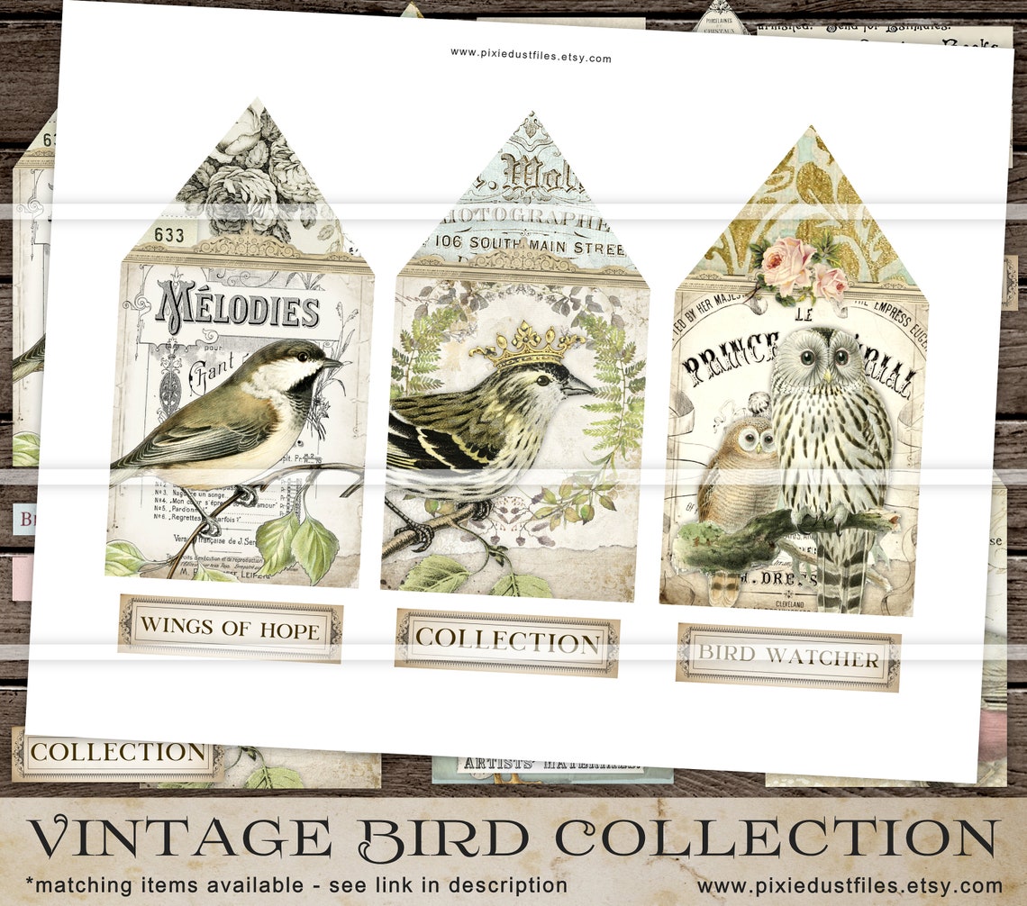Vintage Birds Junk Journal Printable Collage Sheet Bird - Etsy