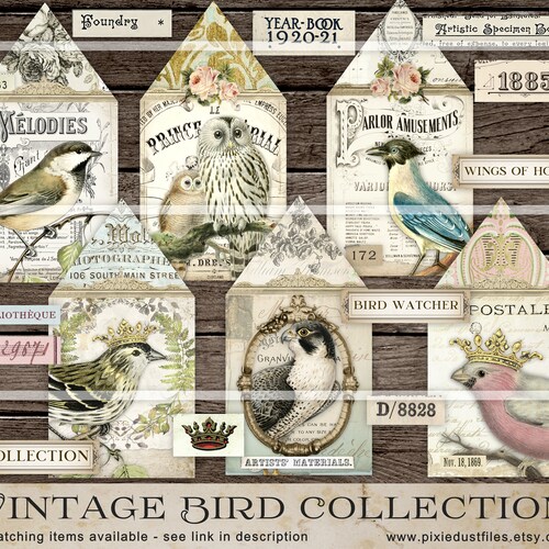 Birds Junk Journal Printable Kit Vintage Bird Images - Etsy