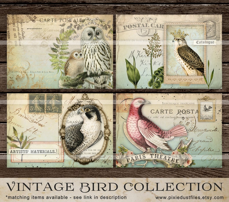 Birds Junk Journal Printable Kit Vintage Bird Images - Etsy