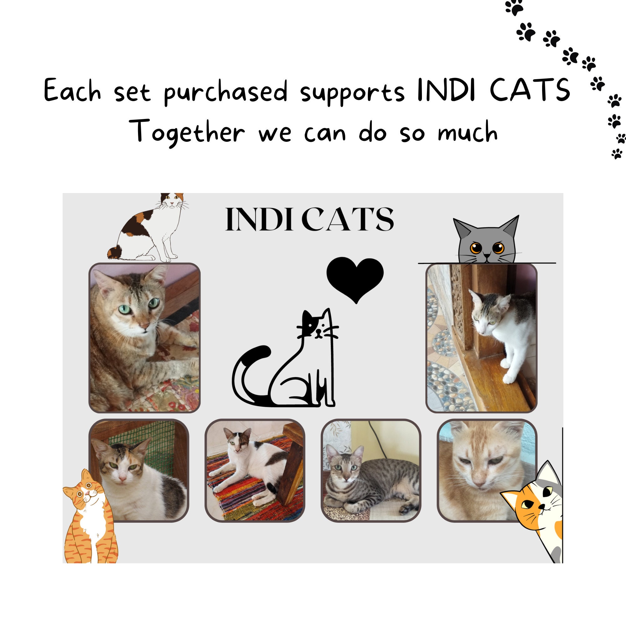 27 Cute Cat Design Affirmation Cards, Digital Download, Printable, Cat ...