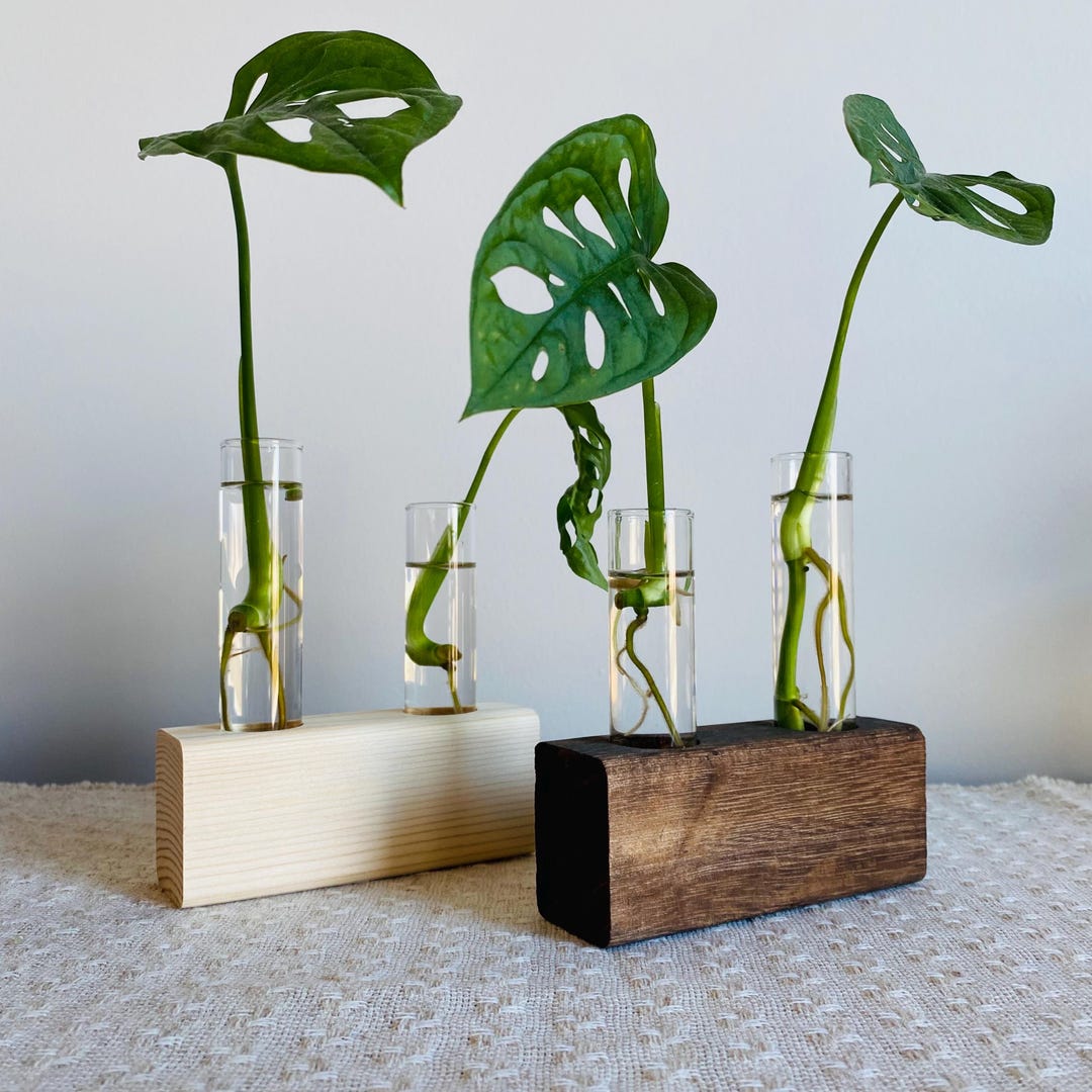 Plant Propagation Station With Glass Tubes & Wood Stand | Plant Gifts ...