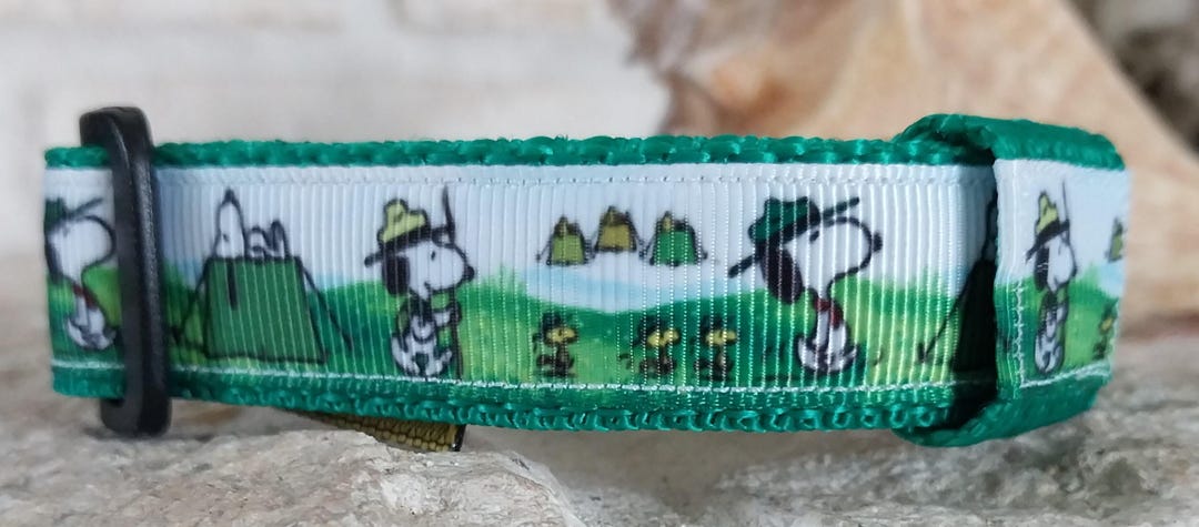 3/4" Scout Beagle Collars, Harnesses, Lanyard and Leashes - This Ones ...