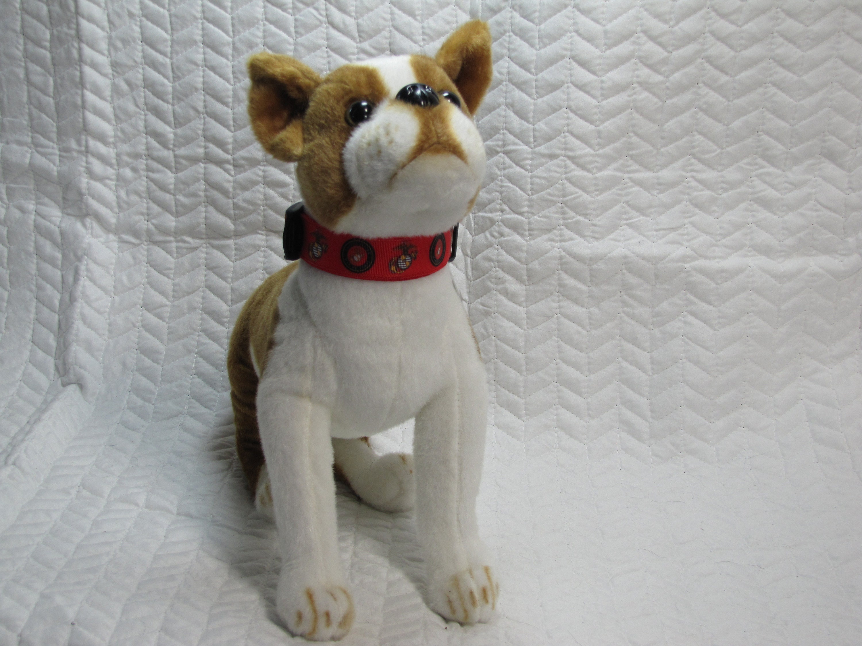 United State Marine Corps Design Pet Collars Harnesses and - Etsy