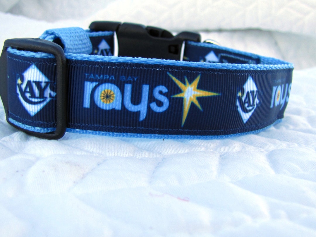 Tampa Inspired Baseball Collars, Harnesses, Lanyards, & Leashes. Made ...