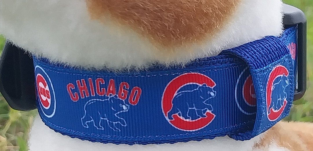 Baseball Fans - Design Inspired by Chicago Pet Collars, Harnesses ...