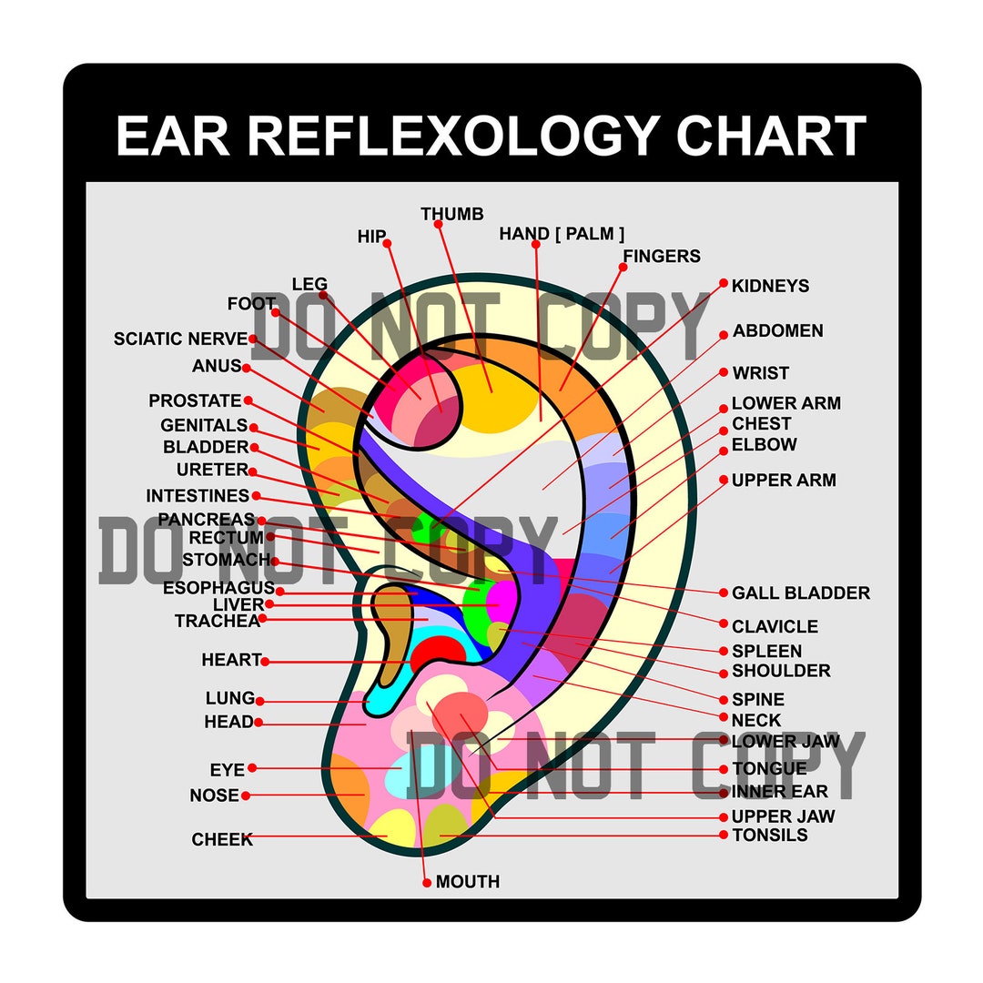 Ear Reflexology Chart Download for Printing Posters 3 File Types. - Etsy