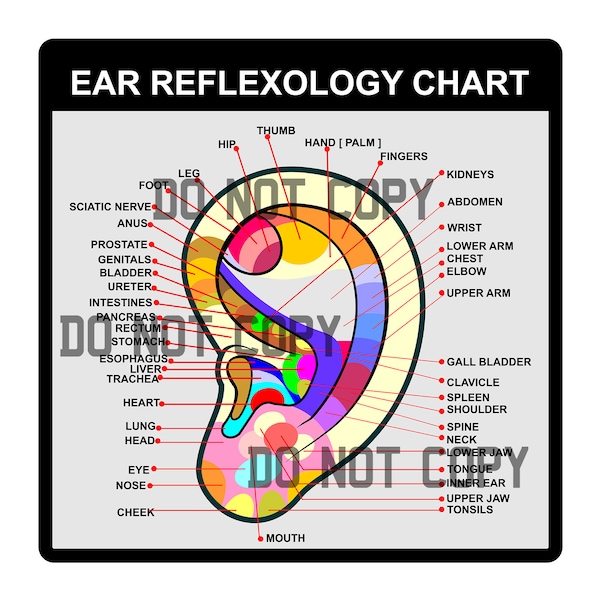 Ear Reflexology Chart - Etsy