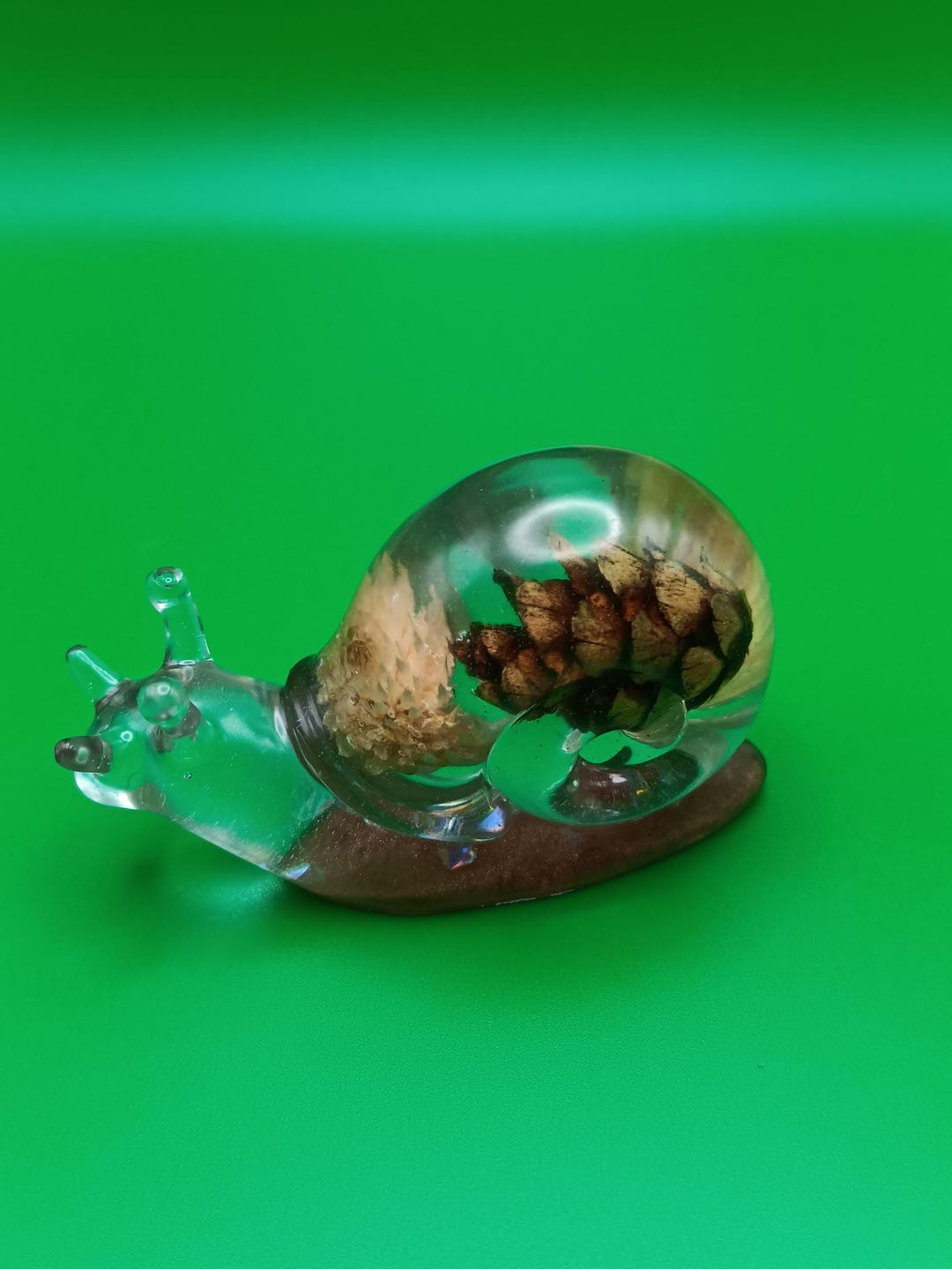 Medium Snails, Little Snails for Fairy Garden, Desk Pet, Plant Decor - Etsy