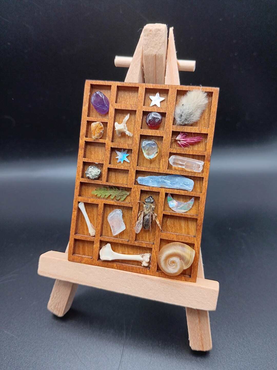 Tiny Oddity Cabinets, Mini Oddity Display, Oddity Shelf, Curiosity ...