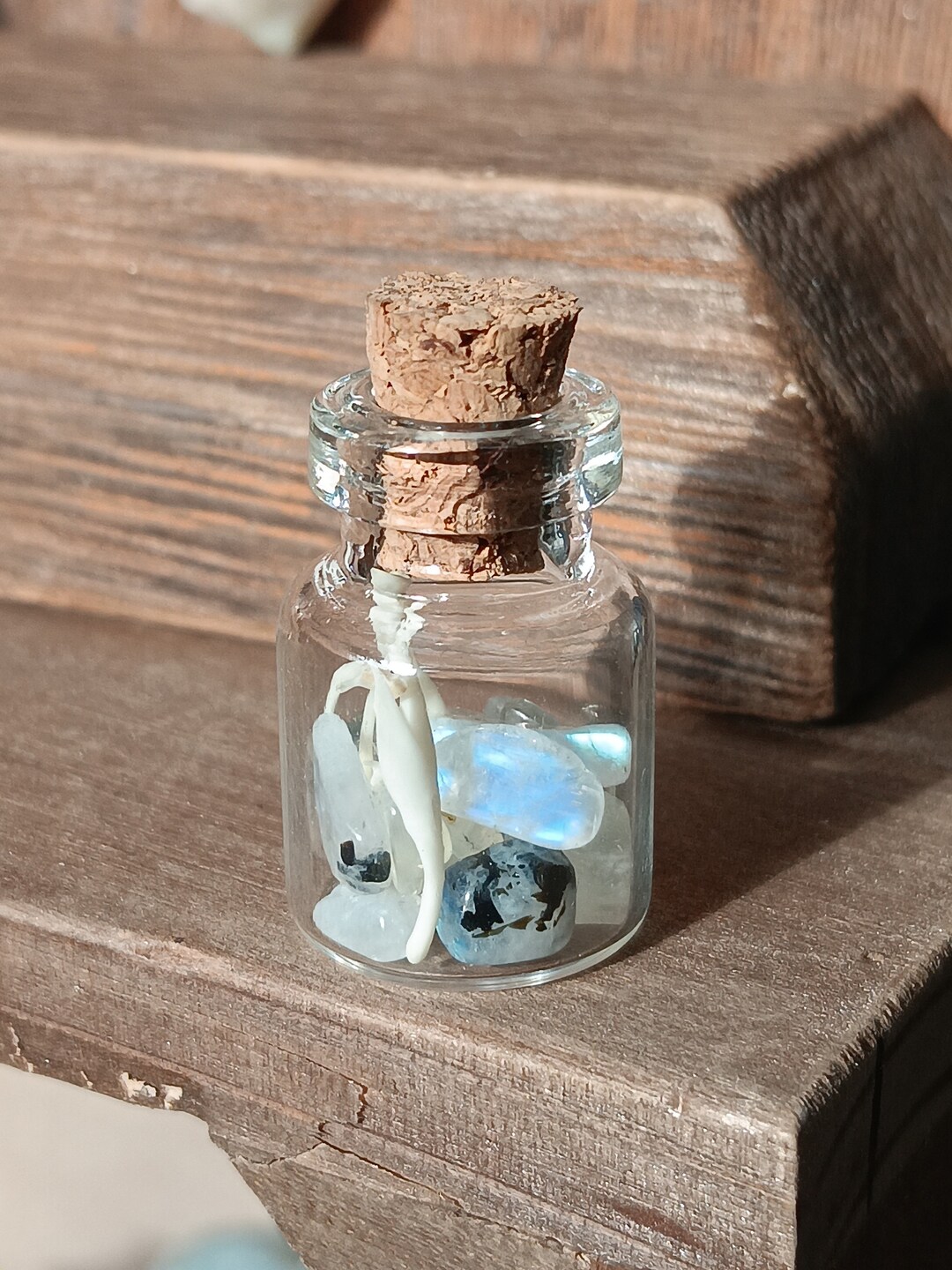 Tiny Oddity Jars With Bones, Bone Terrarium Jars, Snake Bones, Nature ...