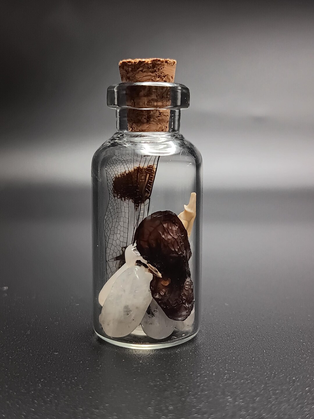 Small Oddity Jars With Bones, Bone Terrarium Jars, Snake Bones ...