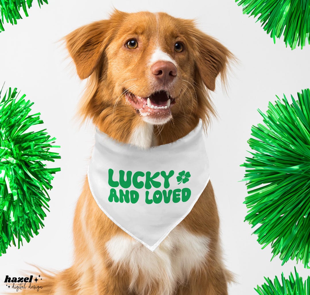 Lucky and Loved Svg, Shamrock Svg, Lucky Svg, Dog Svg, Cat Svg, Pet ...