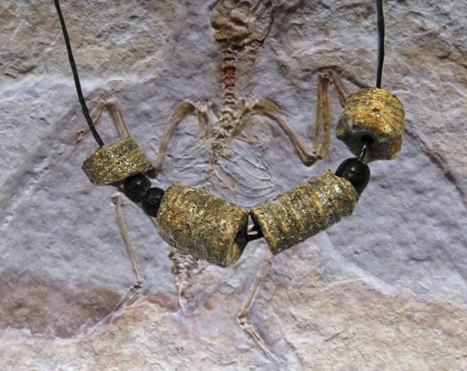 Unique 485 Million Years Old Crinoid Stem Fossils and Roman Beads Made ...