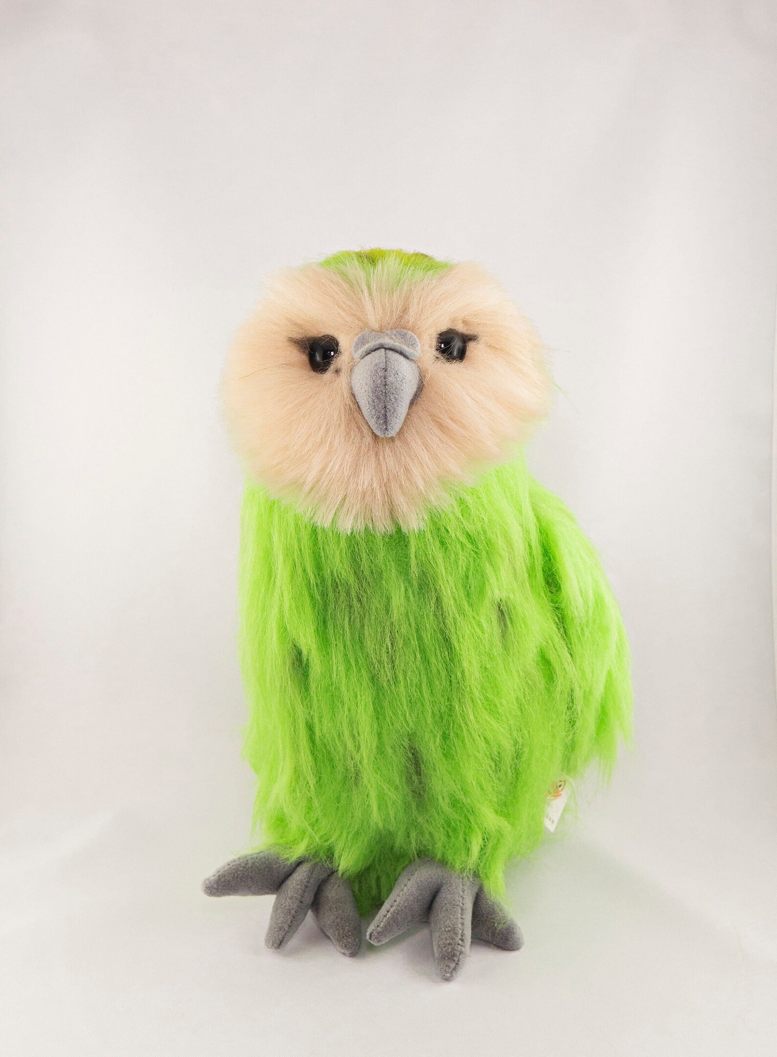 Kakapo Parrot Owl Parrot New Zealand Cuddly Toy Plush Toy - Etsy