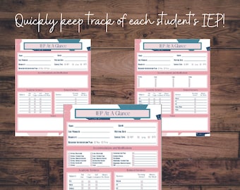 IEP at A Glance Yearly Planner (fillable) - Etsy