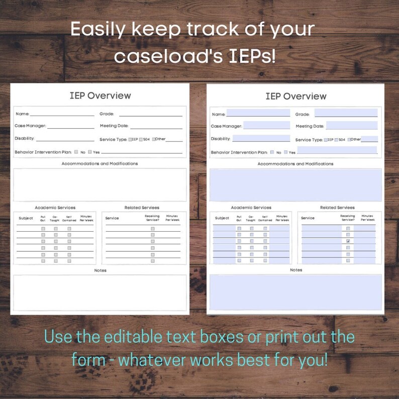 IEP Snapshot (fillable) - Etsy
