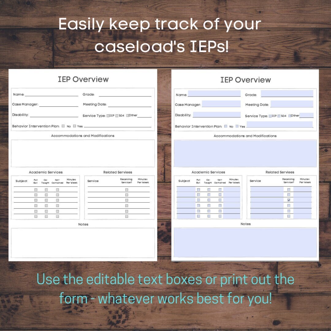 IEP Snapshot (fillable) - Etsy